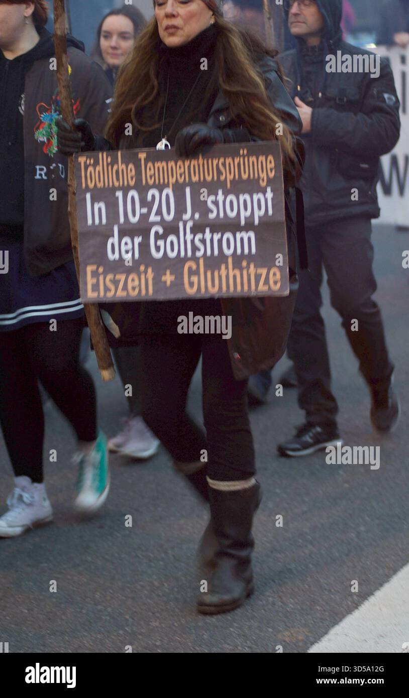 Flensburg, Schleswig-Holstein FFF Klima Demo: Raus aus Fossil Jetzt AfD ...