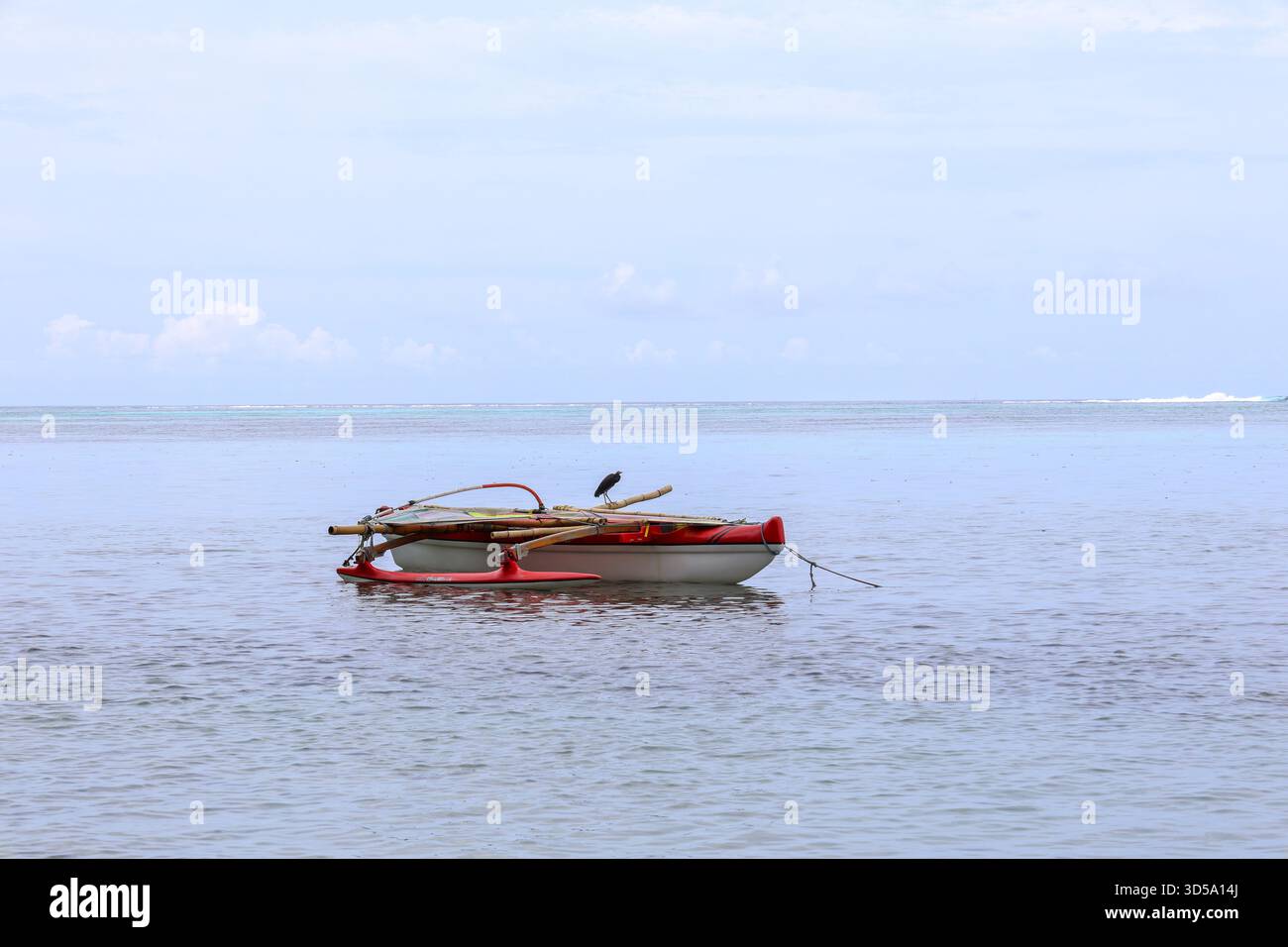 Pirogue sur le lagon de Tahiti avec un oiseau qui s'y repose Stock ...