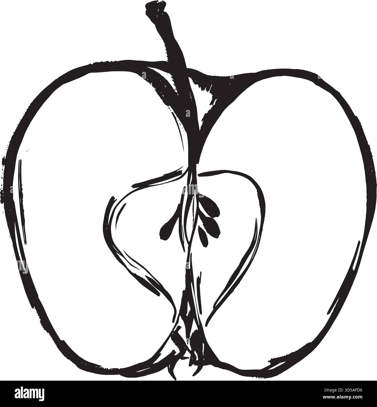 Medical seeds Black and White Stock Photos & Images - Alamy