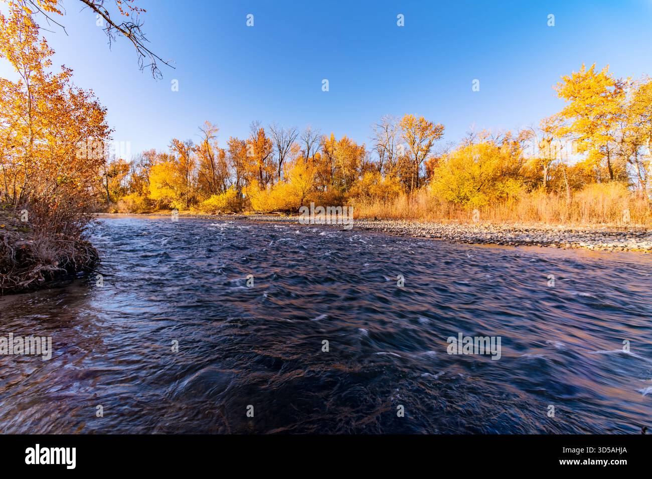 Boise river scenic view hi-res stock photography and images - Alamy