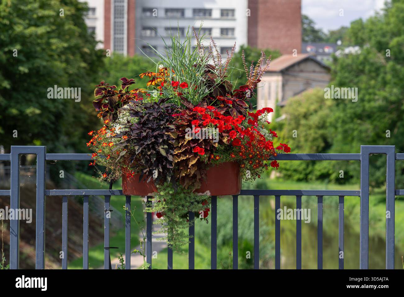 Nancy, France - View of a planter with different kinds of colorful ...