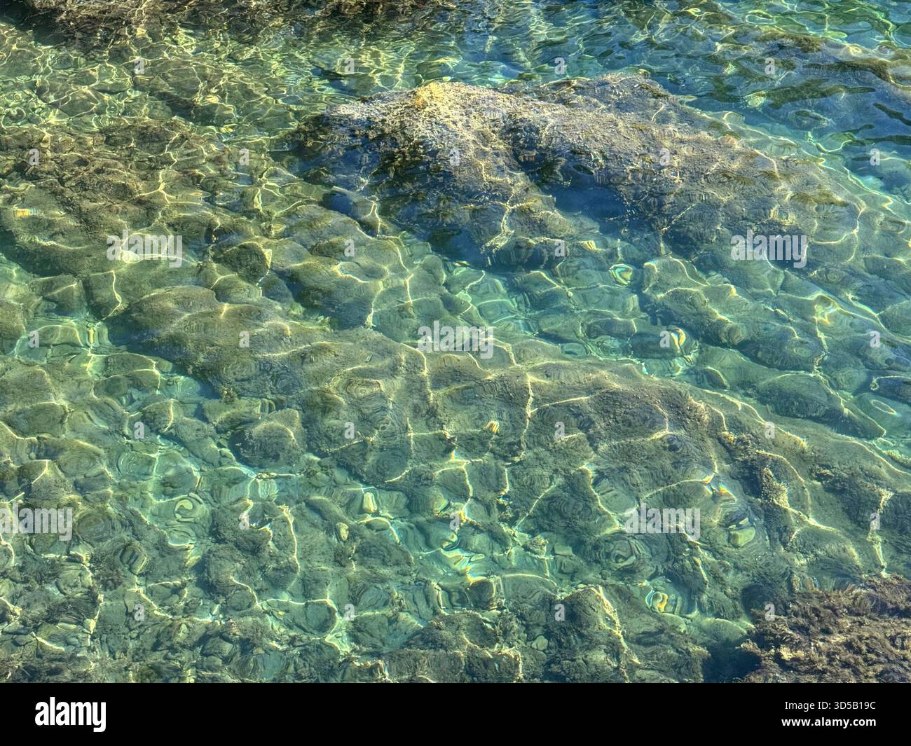 Clear transparent green water hi-res stock photography and images - Alamy