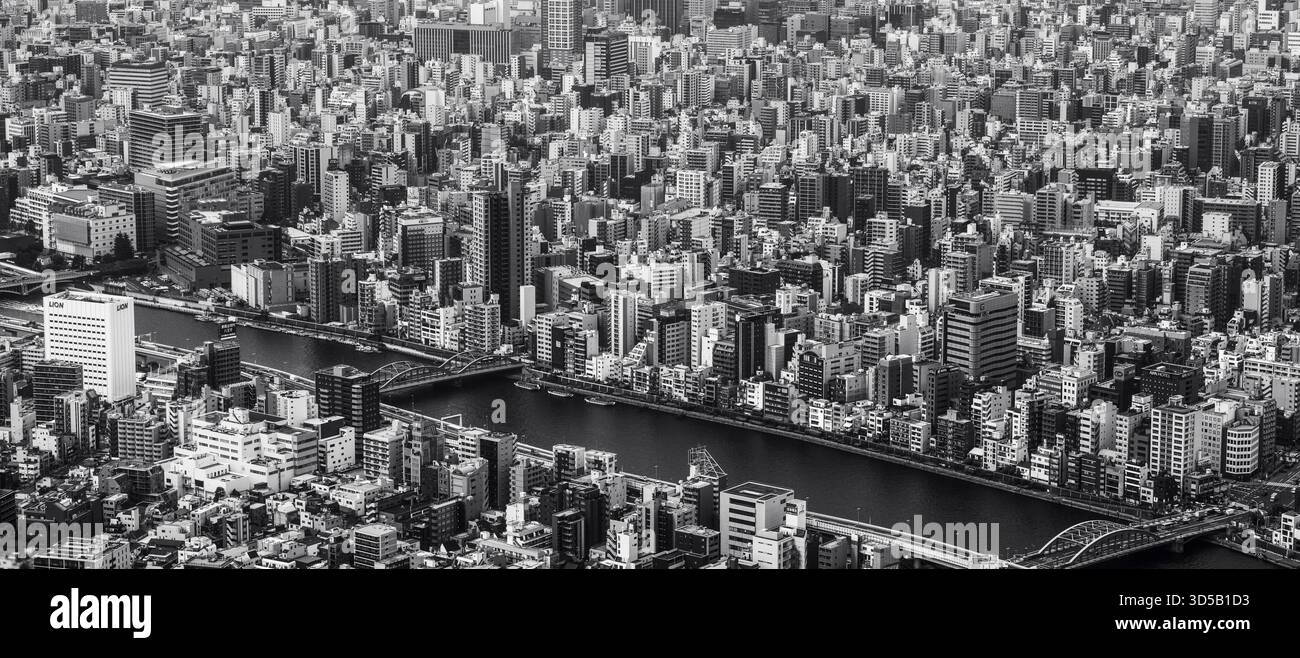 Panoramic aerial view of Tokyo captured from the Tokyo Skytree, ne of ...