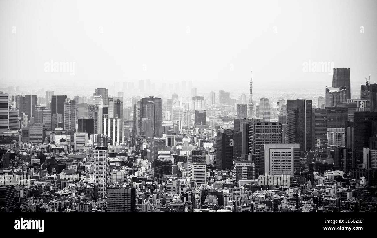 Panoramic aerial view of Tokyo captured from the Tokyo Skytree, ne of ...