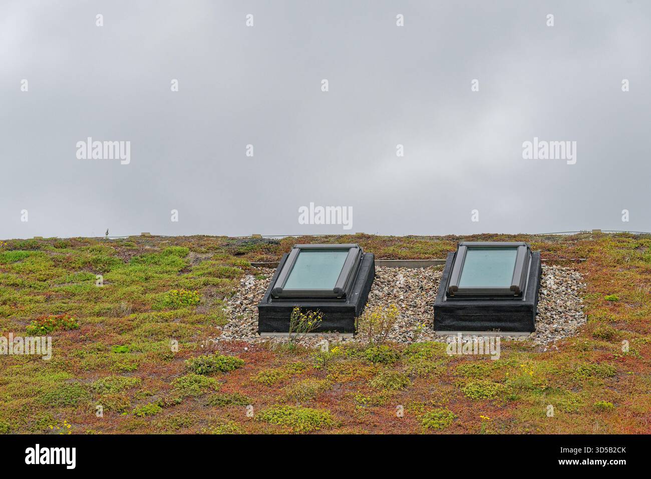 A similar shot focuses on the mossy slope and the paired dormers set in ...