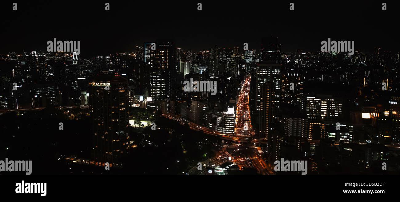 Panoramic aerial view of Tokyo captured from the Tokyo Skytree, ne of ...