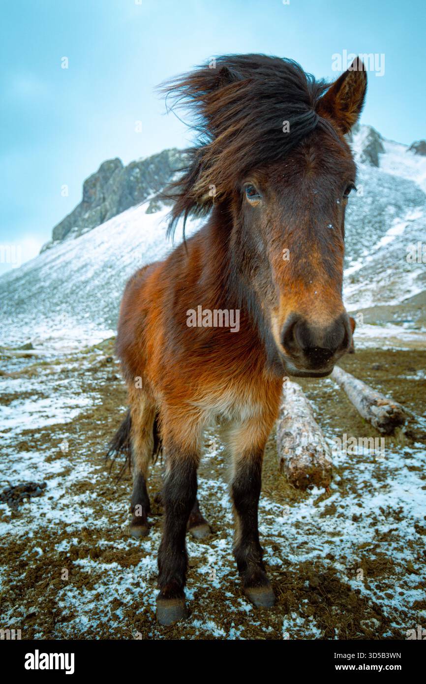 Winter scenes from Iceland showcasing the island's iconic landmarks and ...