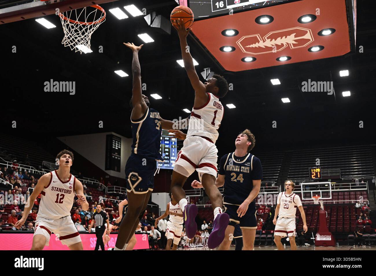 STANFORD, CA - NOVEMBER 12: Stanford Cardinal guard Ebuka Okorie (1 ...