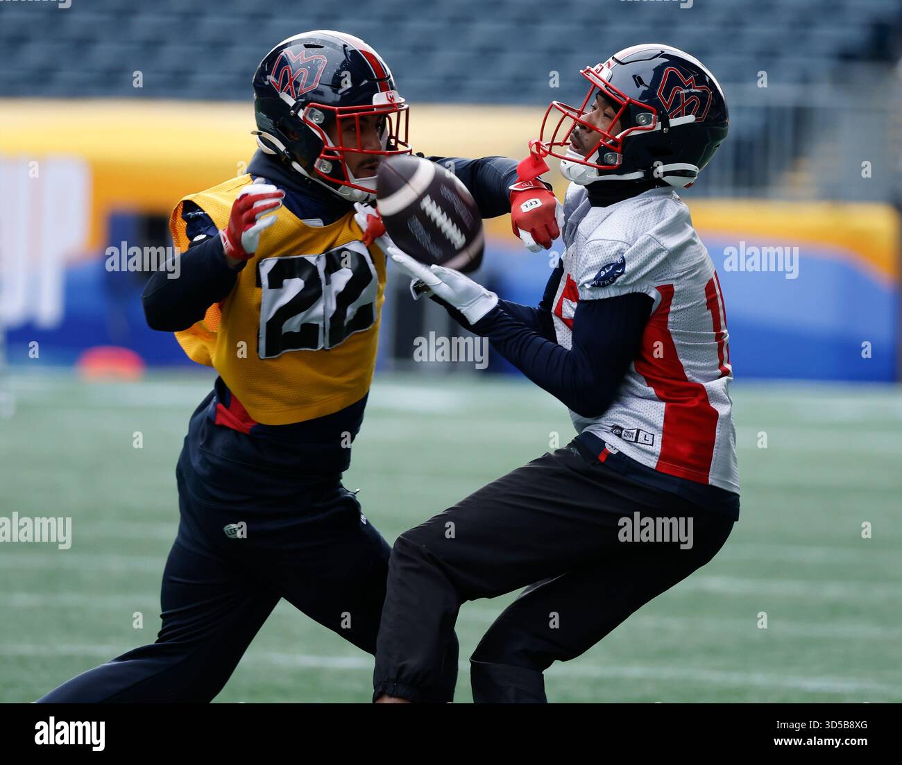 Montreal Alouettes' Alexander Hollins (15) catches a pass during Grey ...