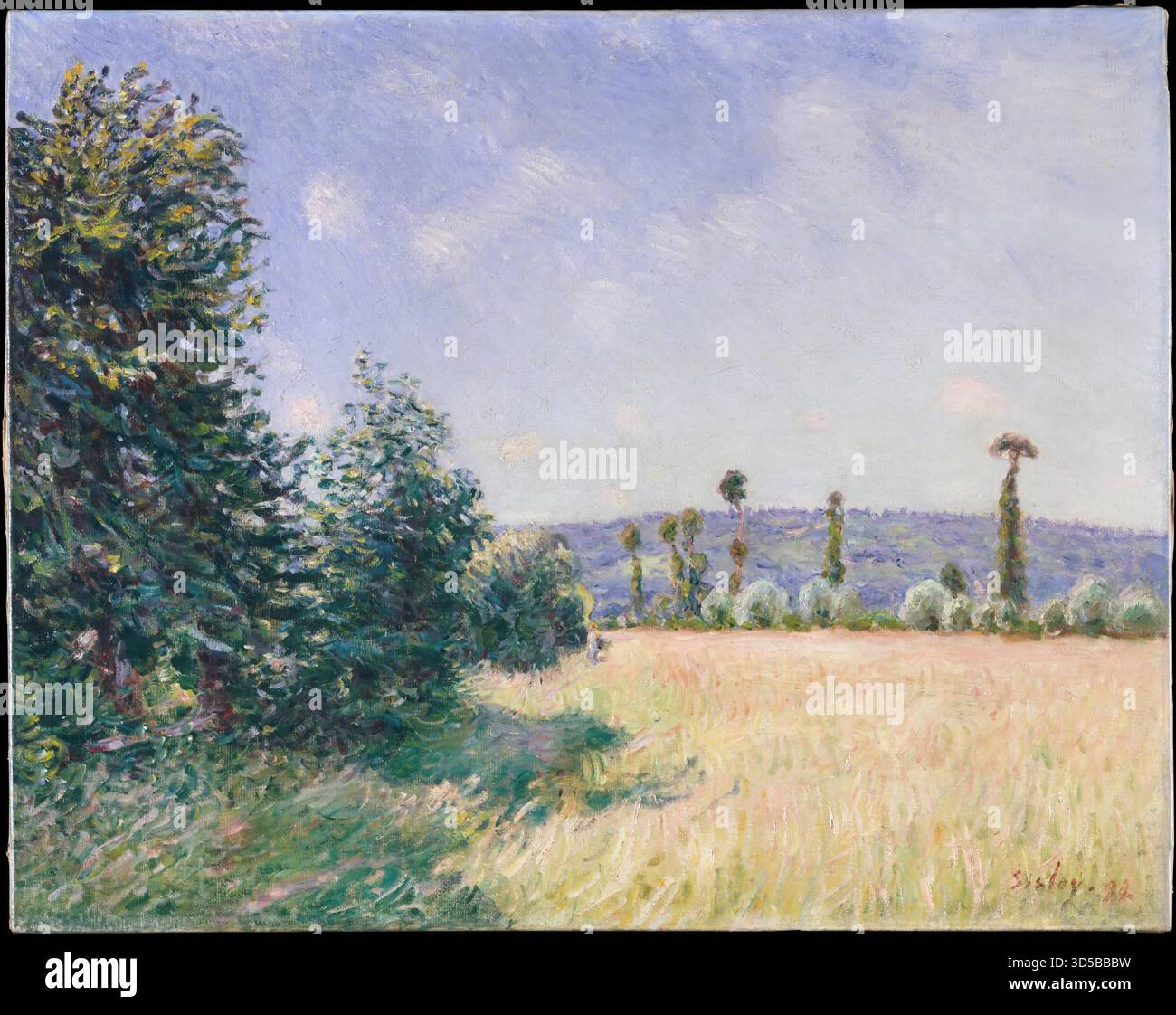 Natural meadows Stock Vector Images - Alamy