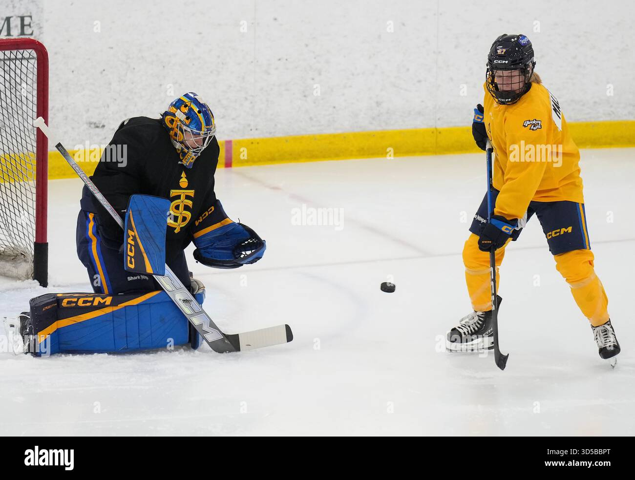 Toronto Sceptres goalie Raygan Kirk, left, makes a save against ...