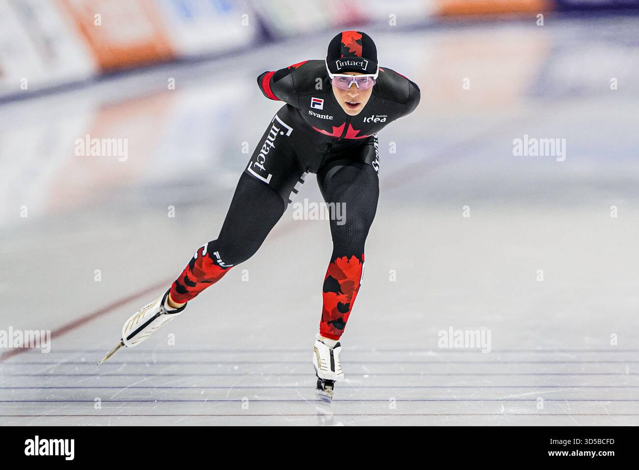 SALT LAKE CITY, USA - NOVEMBER 14: Valerie Maltais of Canada during the ...