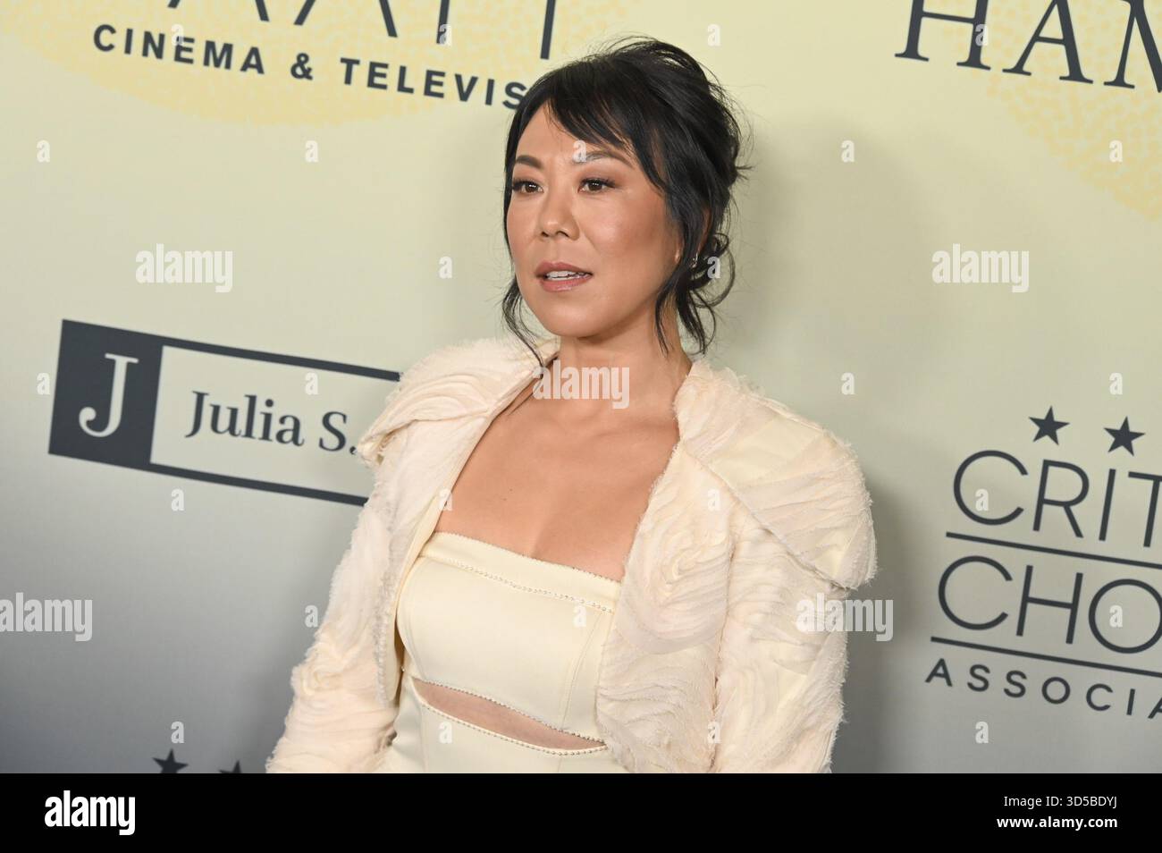 Ali Ahn at arrivals for The Critics Choice Association (CCA) 4th Annual ...