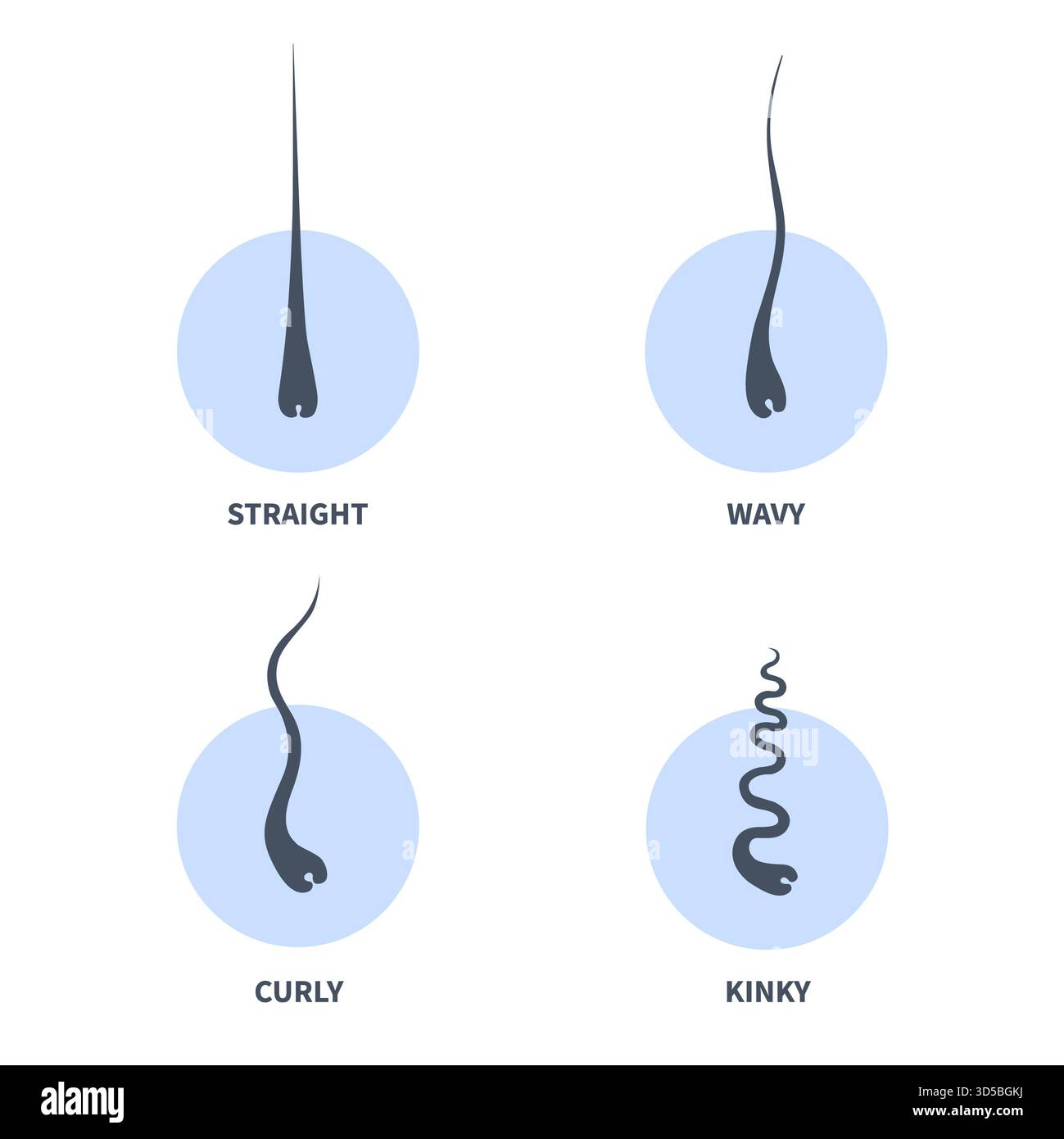 Curl of hair illustration Cut Out Stock Images & Pictures - Alamy