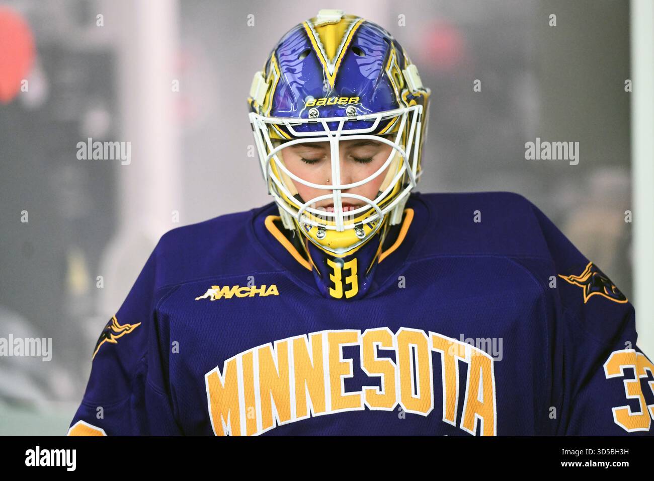 November 14, 2025: Minnesota State Mavericks goaltender Hailey Hansen ...