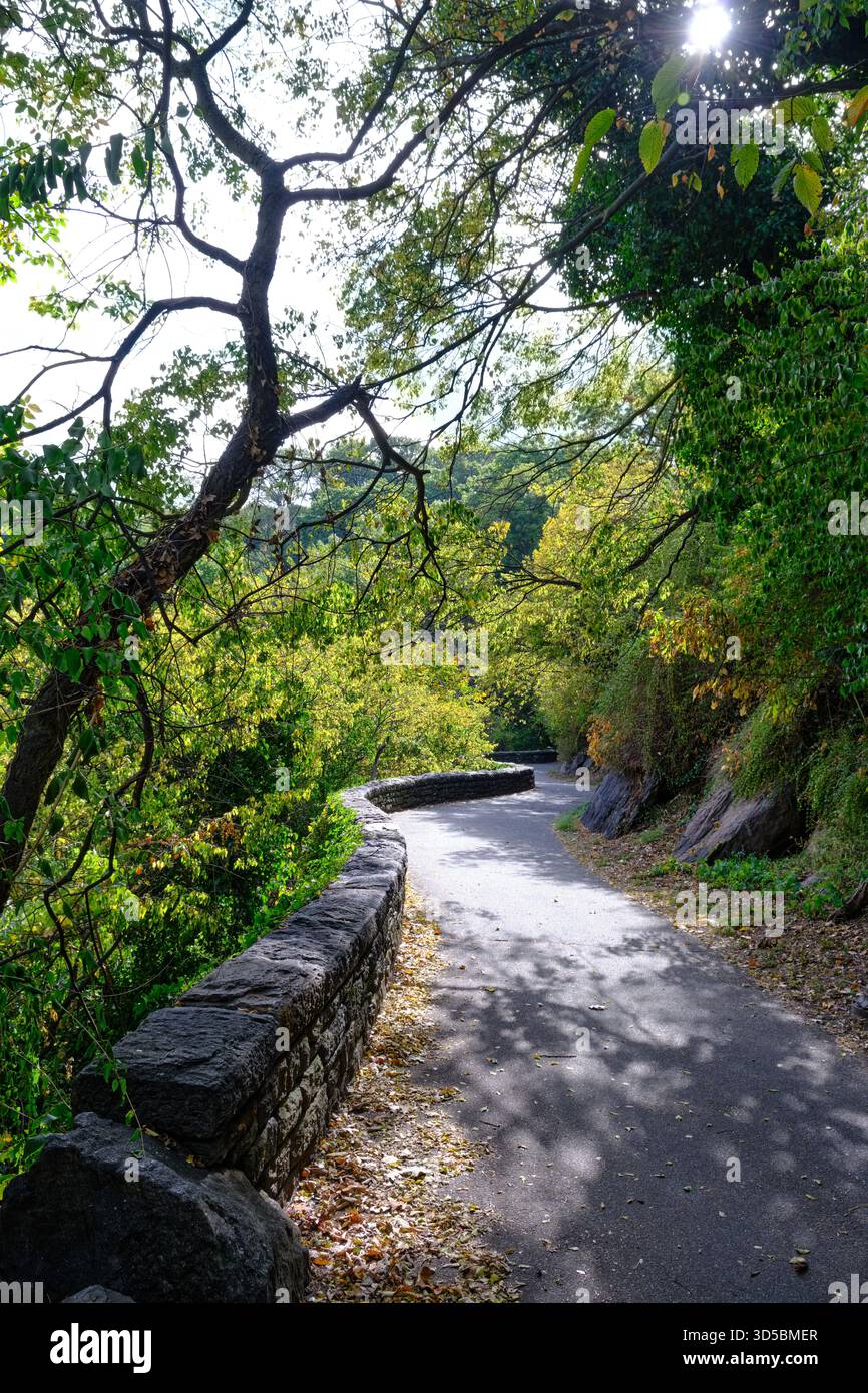 Curved path gently descending through a wooded park, bordered by stone ...