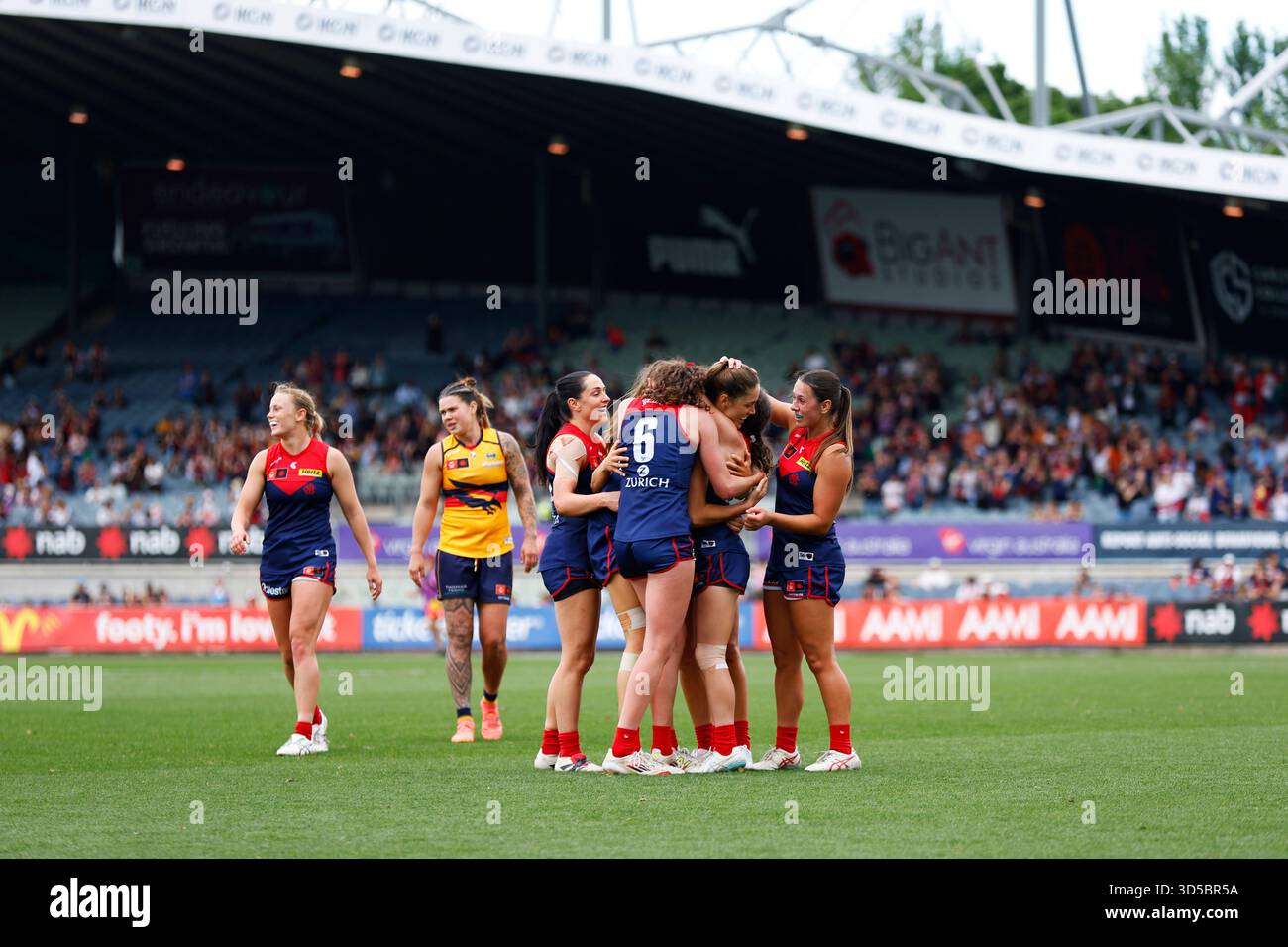 Melbourne Demon players celebrrate their teams win on the final siren ...