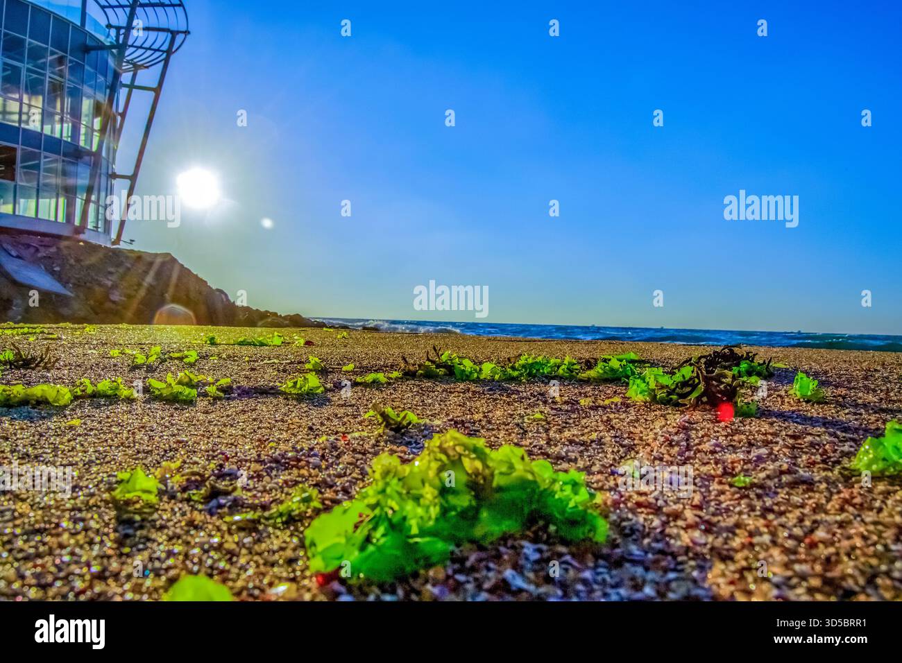 Ground view captures low angle hi-res stock photography and images - Alamy