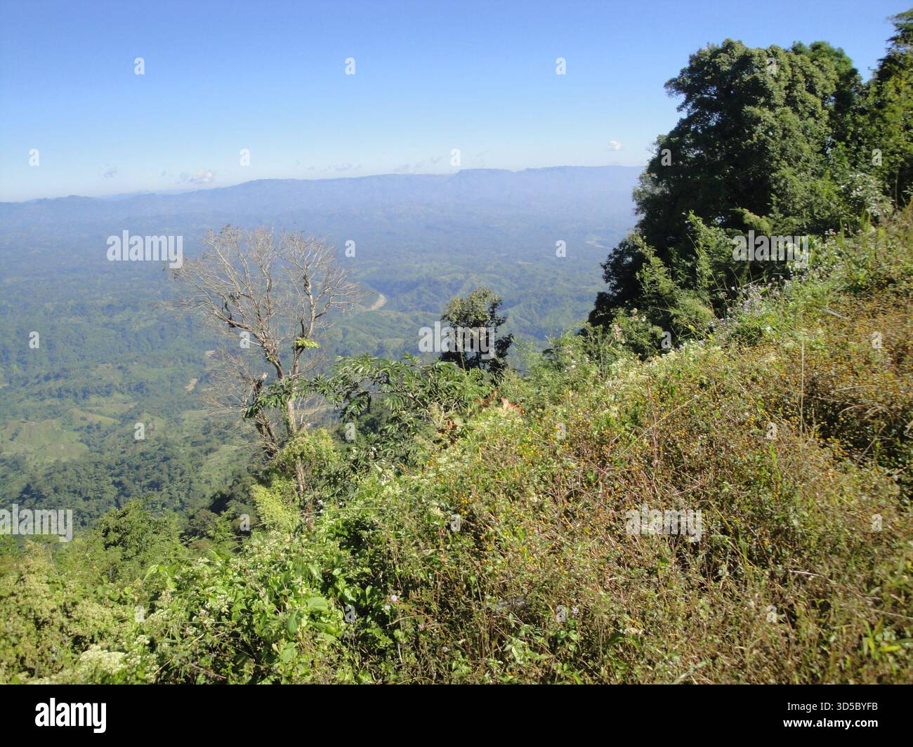 Nilgiri view point hi-res stock photography and images - Alamy