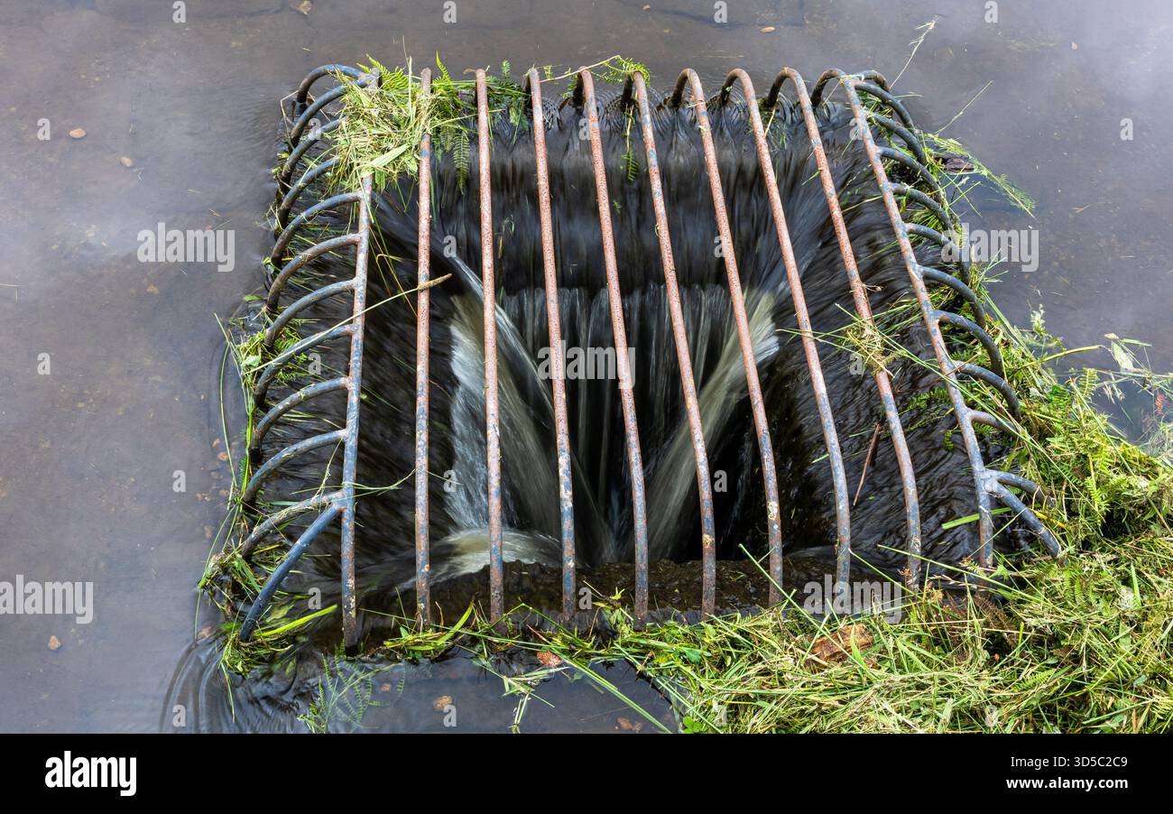 Canal overflow drain with water pouring through metal grate Stock Photo ...