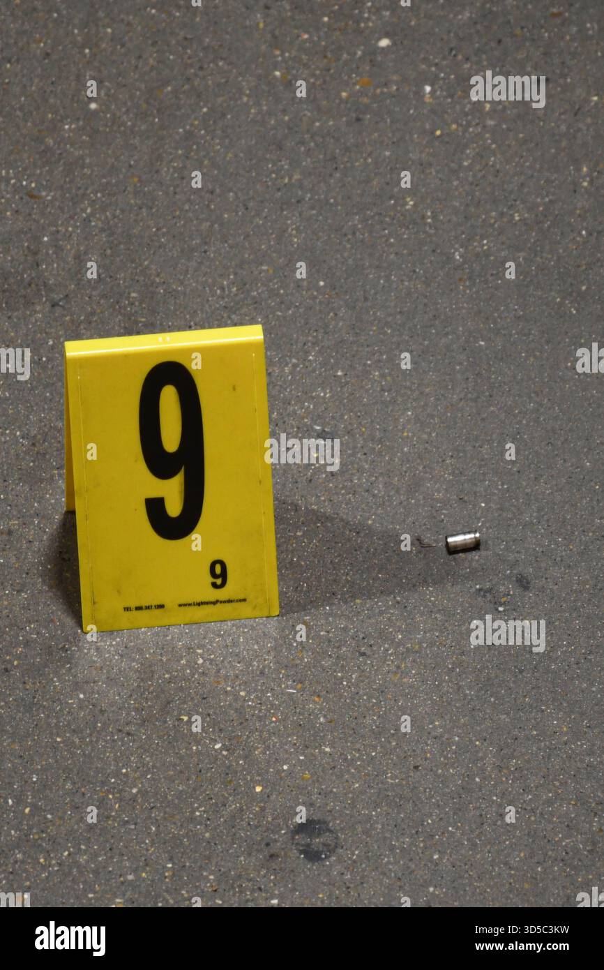 Bullet casing used by a french policeman after he shot a man armed with ...