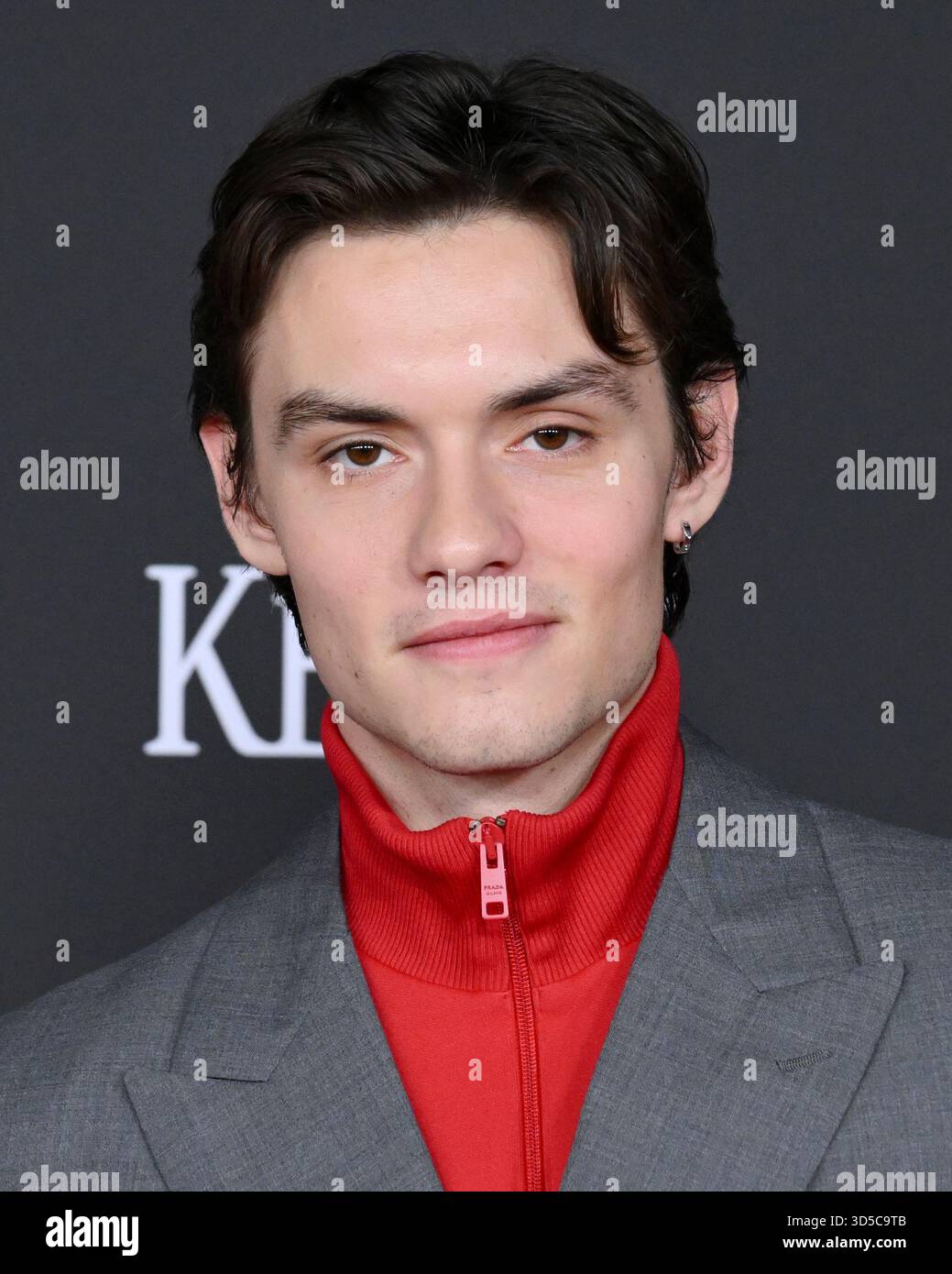 November 11, 2025, Hollywoood, California, USA: English actor LOUIS ...