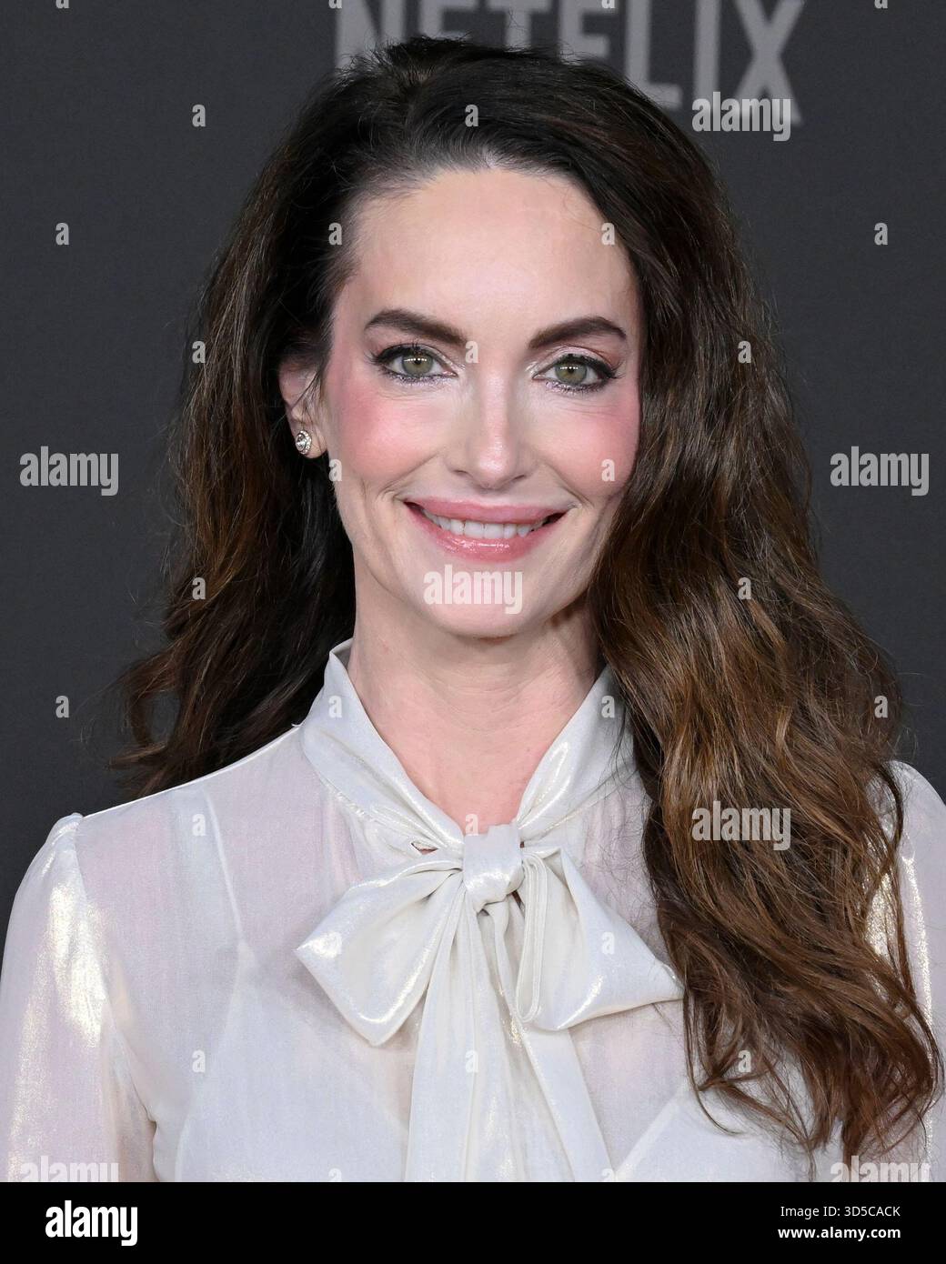 November 11, 2025, Hollywoood, California, USA: Actor, Director and ...