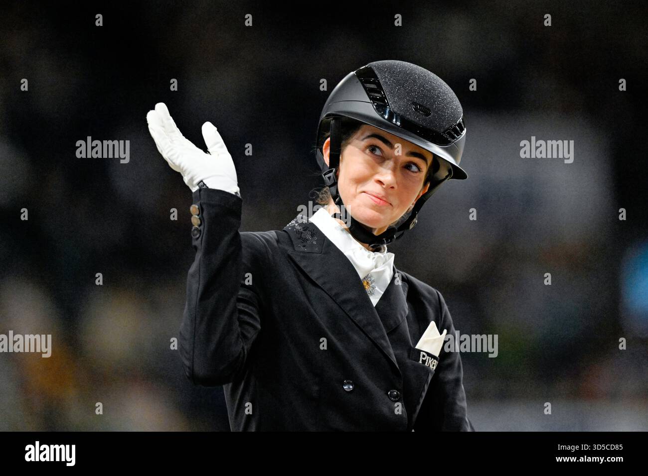 15 November 2025, Baden-Württemberg, Stuttgart: Equestrian sport ...