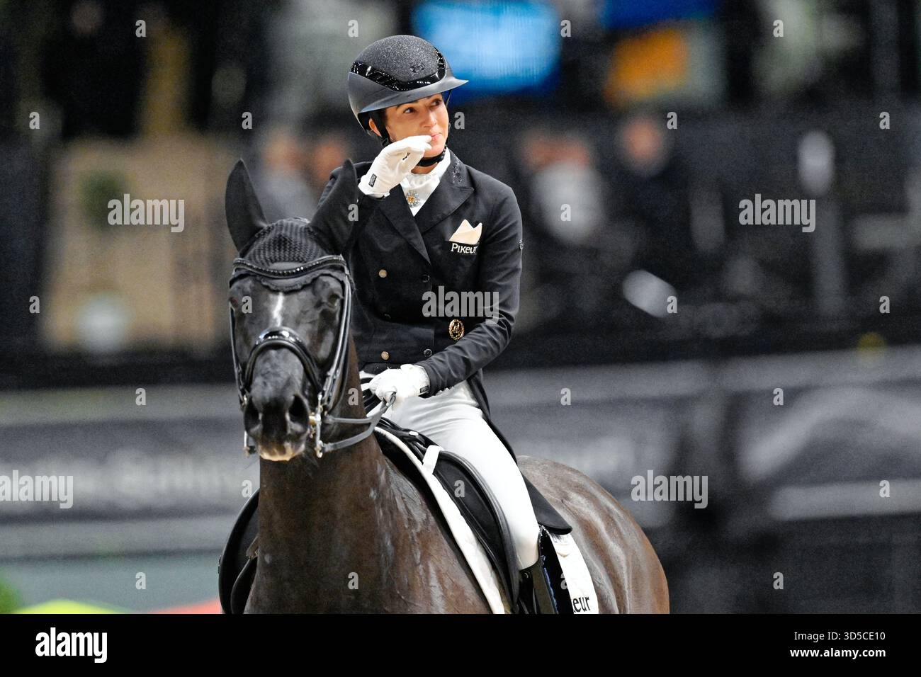 15 November 2025, Baden-Württemberg, Stuttgart: Equestrian sport ...