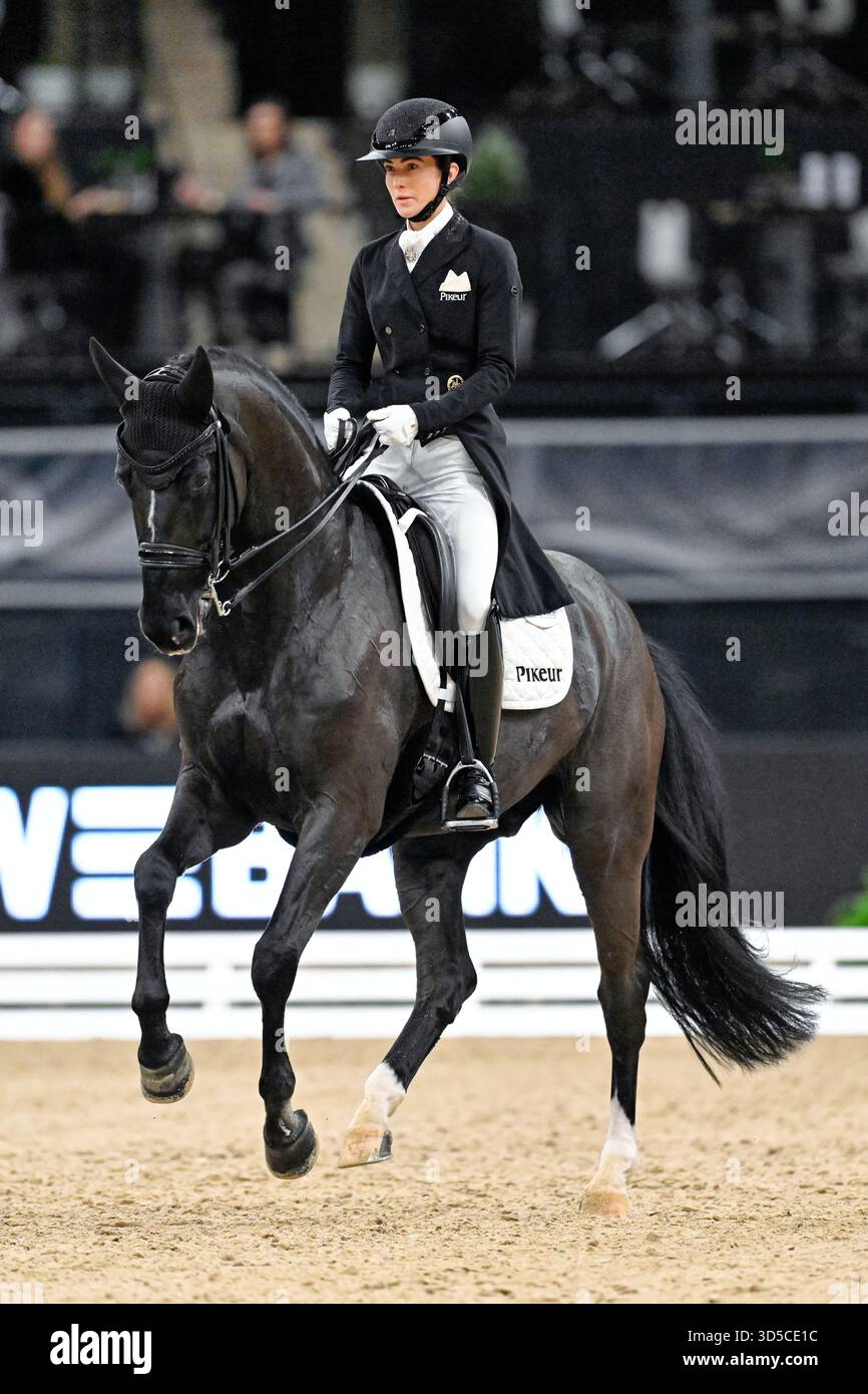 15 November 2025, Baden-Württemberg, Stuttgart: Equestrian sport ...