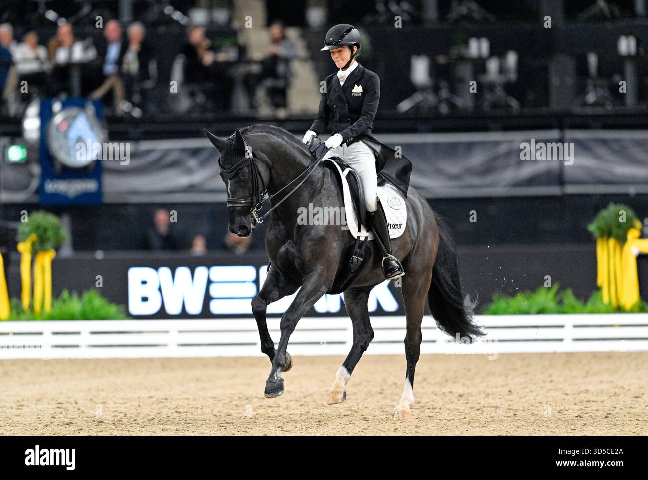 15 November 2025, Baden-Württemberg, Stuttgart: Equestrian sport ...