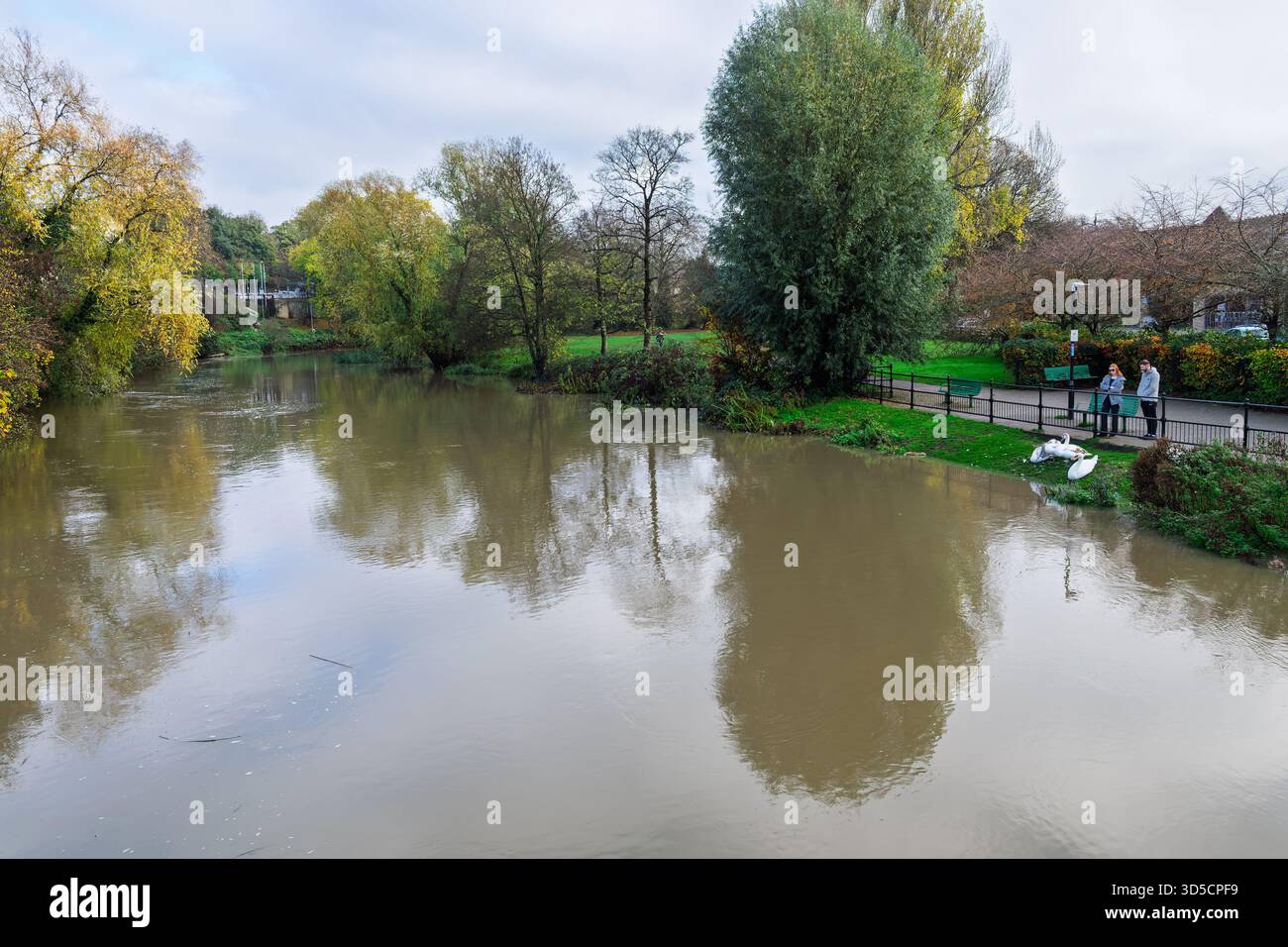 Chippenham, Wiltshire, UK. 15th Nov, 2025. The river Avon is picturd in ...