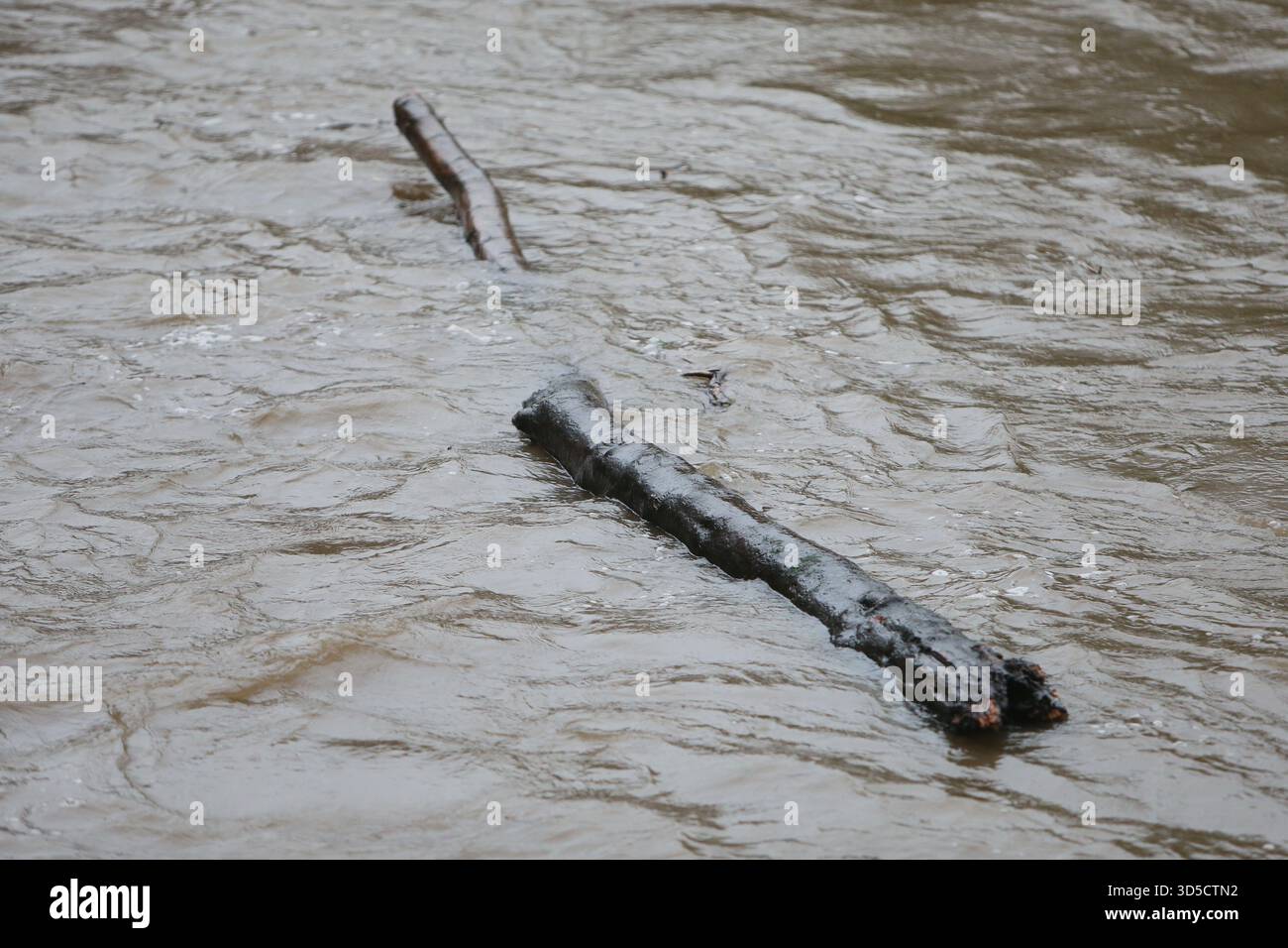 Dublin, Ireland - 15th November 2025 - A large tree trunk washes by in ...
