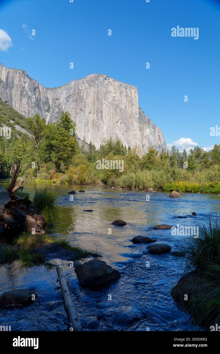 A wide view of towering El Capitan rising above the Merced River with ...