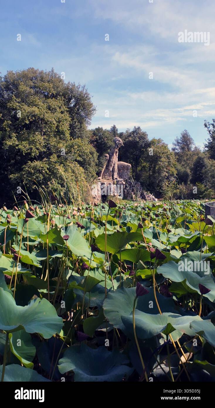 Pratolino italy september 2025 medicean hi-res stock photography and ...
