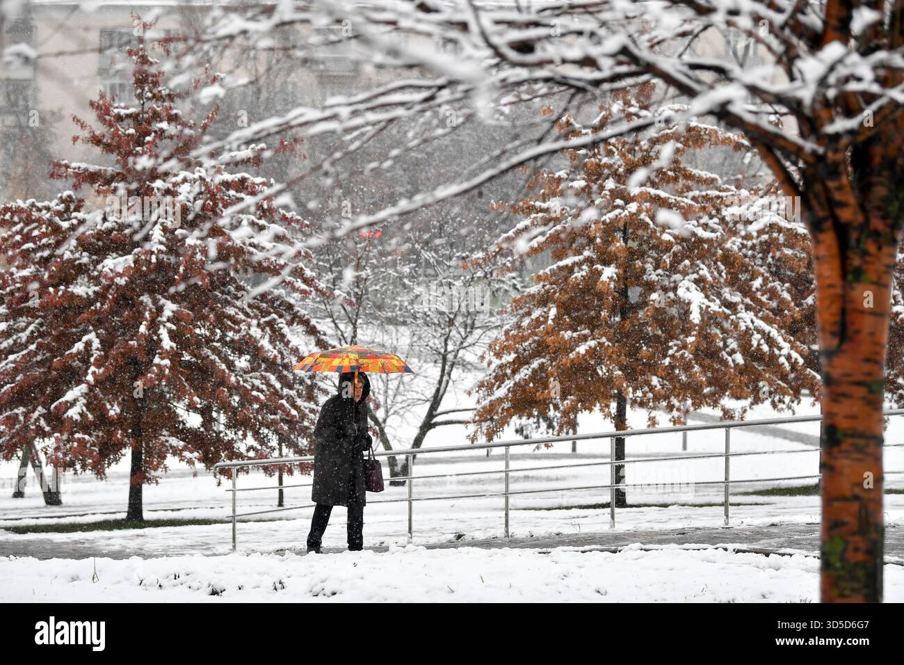 (251115) -- MOSCOW, Nov. 15, 2025 (Xinhua) -- A woman walks in snow in Moscow, Russia, on Nov ...