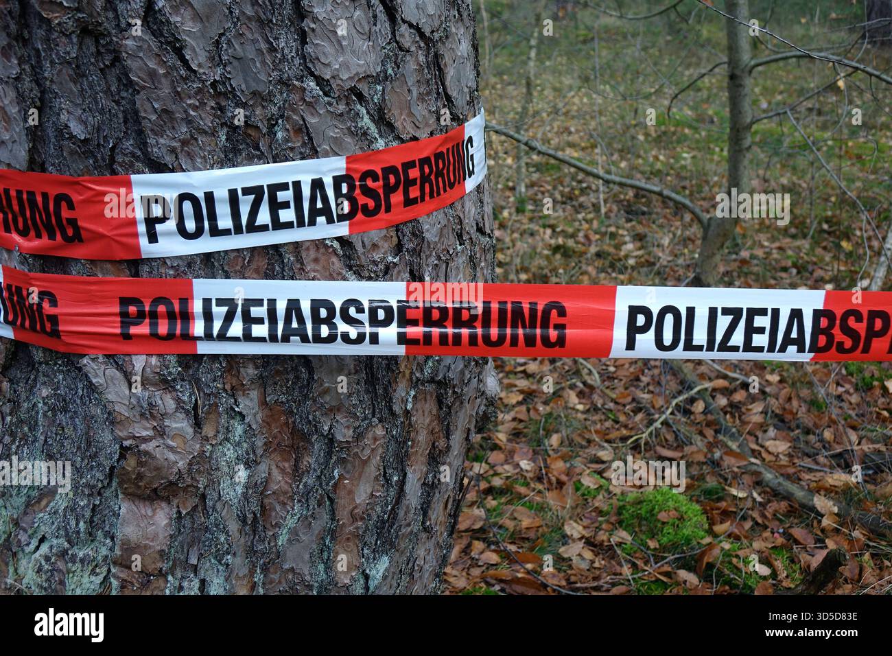 Baumstamm mit Flatterband Polizeiabsperrung Baumstamm mit Flatterband ...
