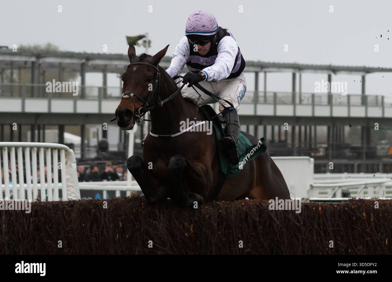 Paddy Power Arkle Challenge Trophy Trial Novices' Chase (Grade 2 ...