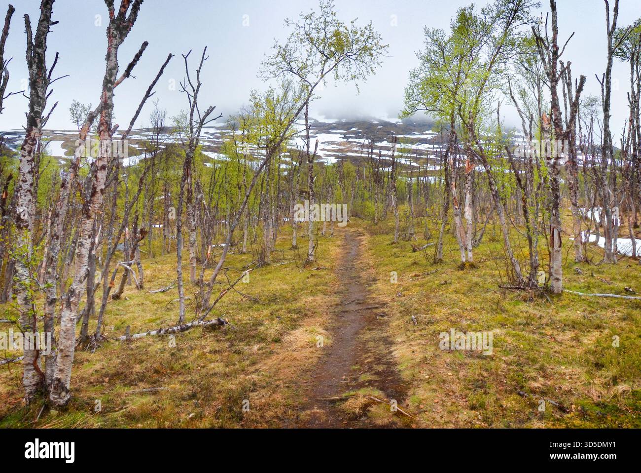 Beautiful northern landscapes lapland hi-res stock photography and ...