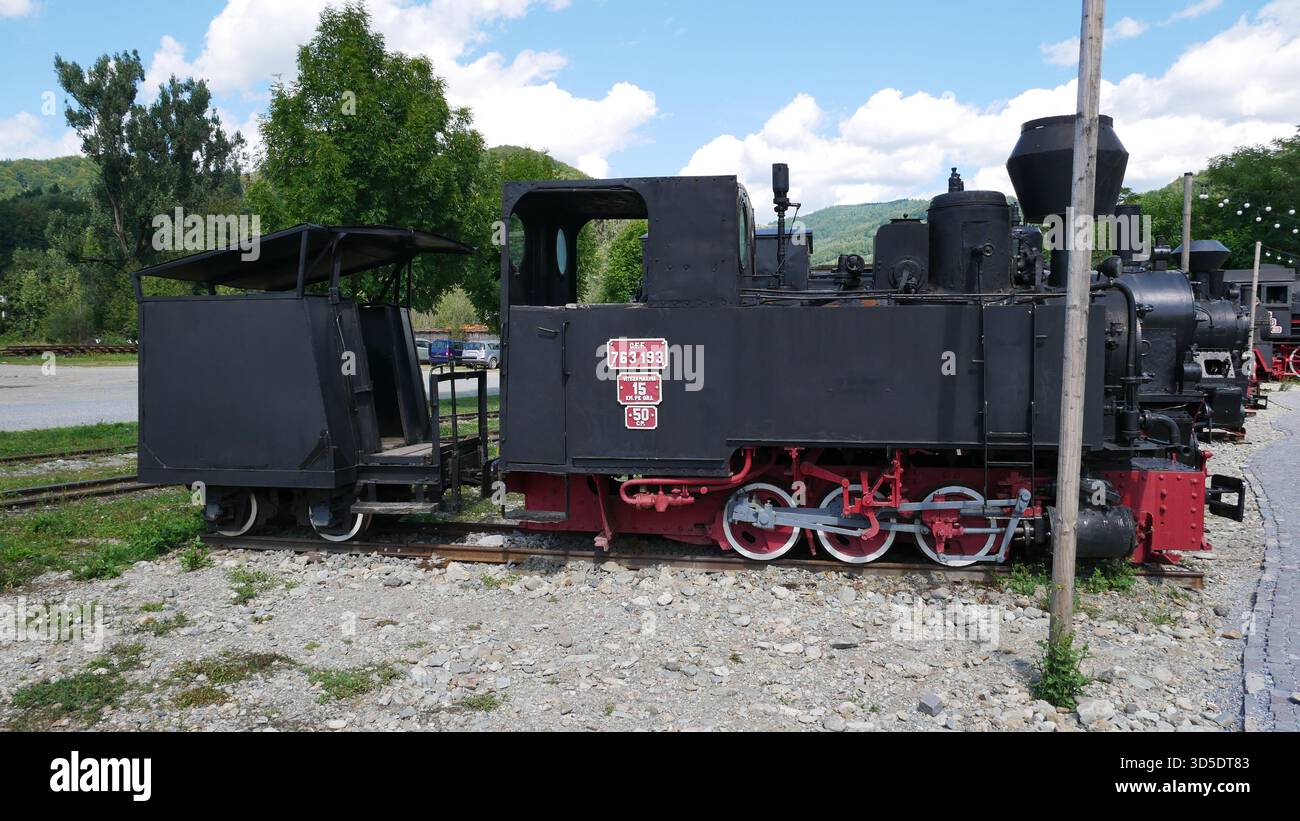 Forest railway in Mocanita Maramures Romania Stock Photo - Alamy