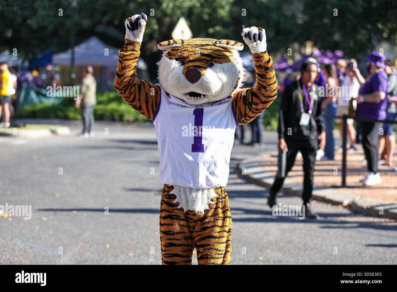 November 15, 2025: LSU's mascot Mike the Tiger walks down Victory Hill ...