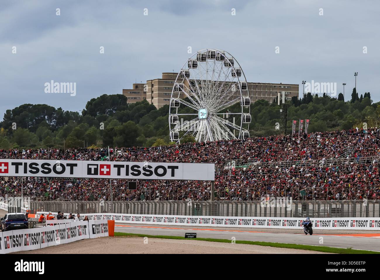 CHESTE, - NOVEMBER 15: Alex Marquez of Spain and Gresini Racing MotoGP ...
