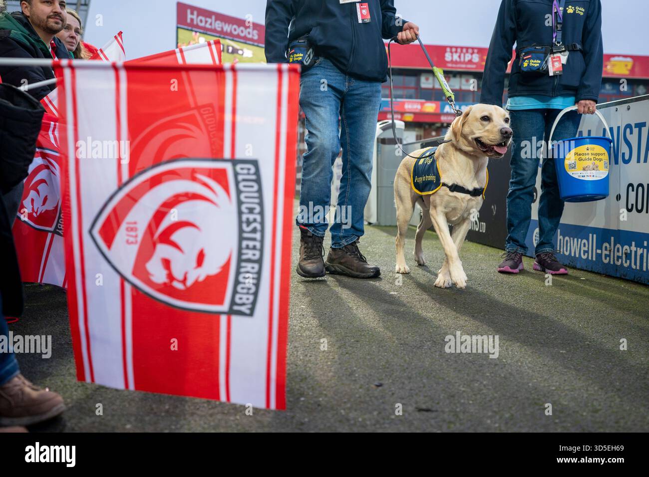 EDITORIAL USE ONLY Bailey, a 18-month-old Labrador, attends the ...