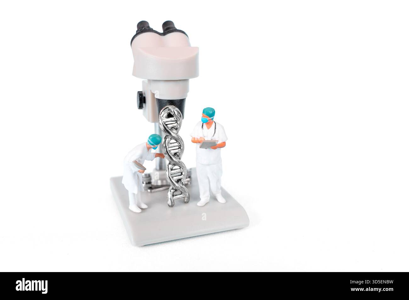 Genetic studies Cut Out Stock Images & Pictures - Alamy