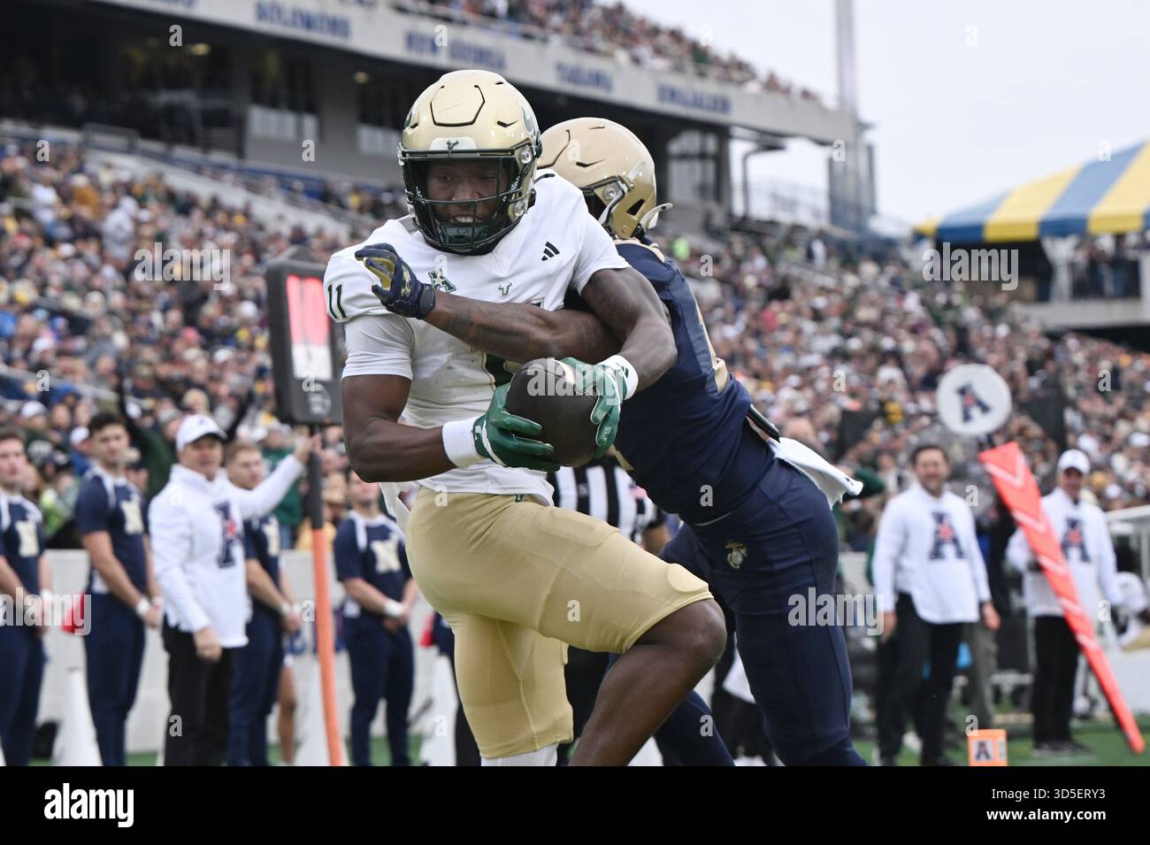 South Florida wide receiver Keshaun Singleton (11) catches a pass for a ...