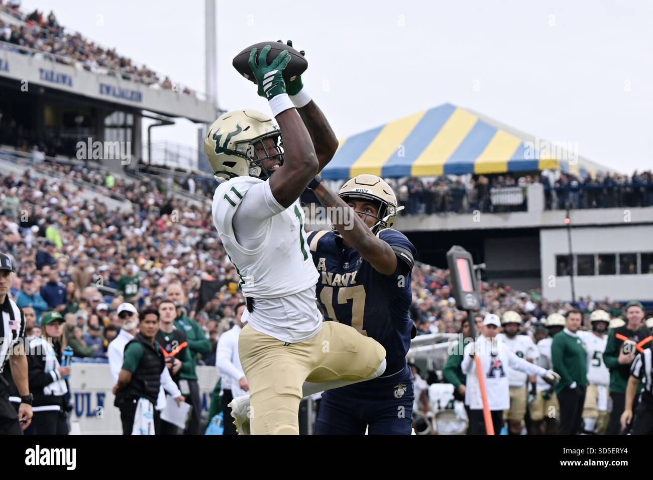 South Florida wide receiver Keshaun Singleton (11) catches a pass for a ...
