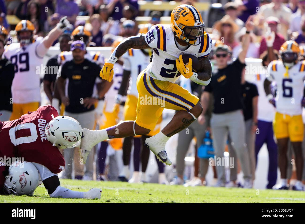LSU running back Caden Durham (29) carries for a touchdown past ...
