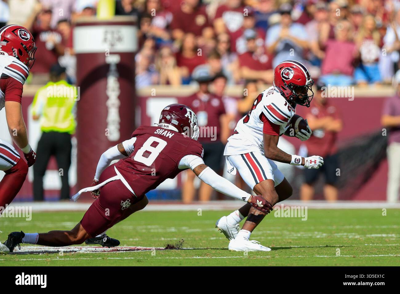COLLEGE STATION, TX - NOVEMBER 15: South Carolina Gamecocks wide ...
