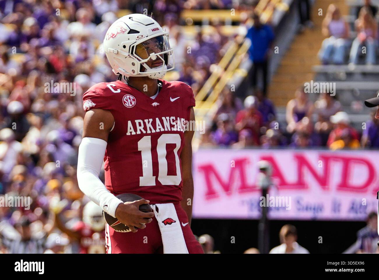 Arkansas quarterback Taylen Green (10) celebrates his touchdown against ...