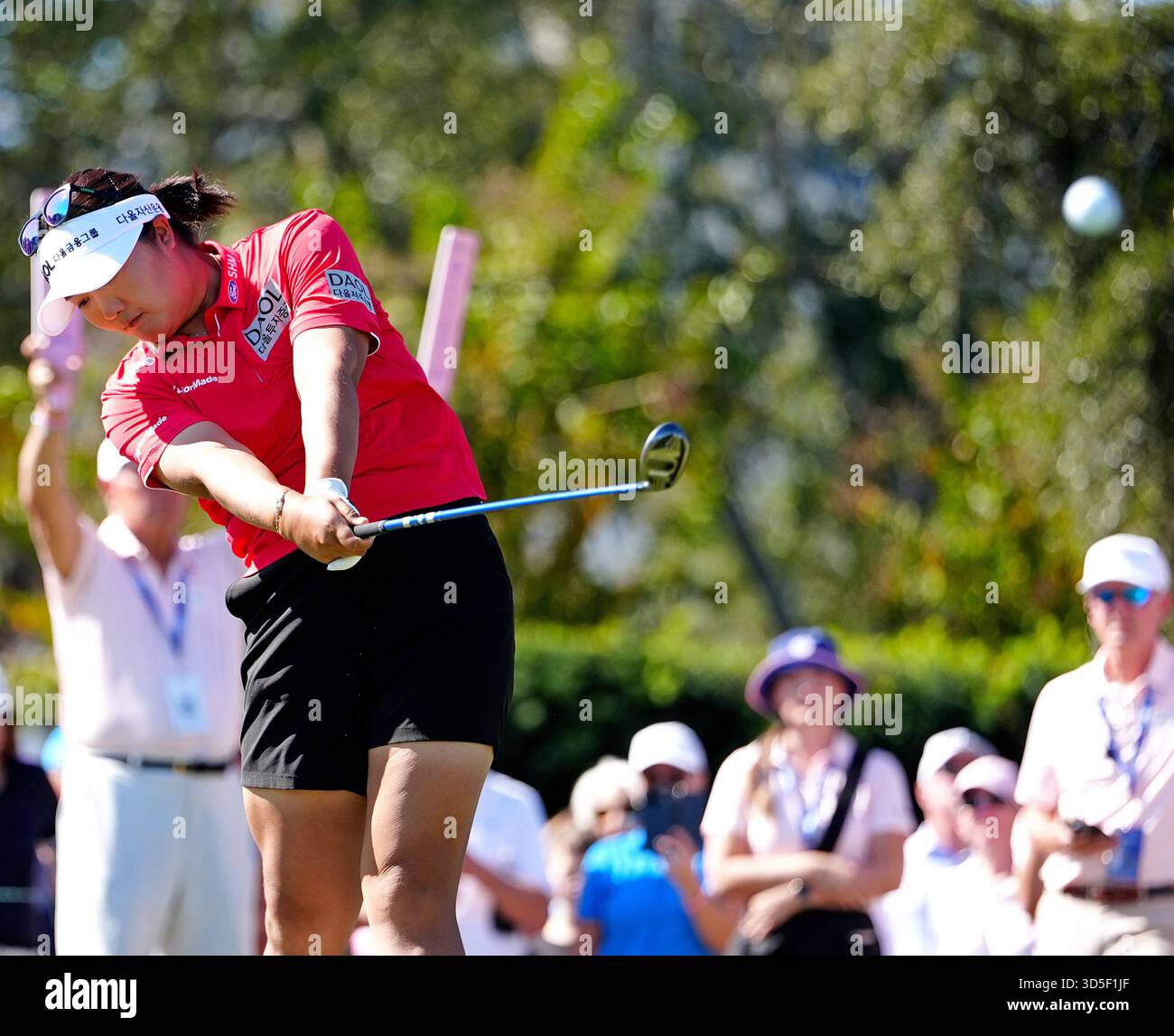 BELLEAIR, FL - NOVEMBER 15: LPGA golfer Haeran Ryu plays her tee shot ...